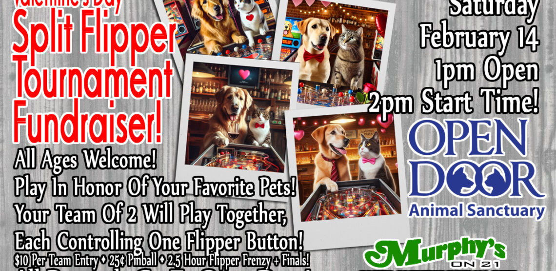 ️ Valentine’s Day Pinball Tournament Fundraiser – Feb. 14🐾 - Open Door ...